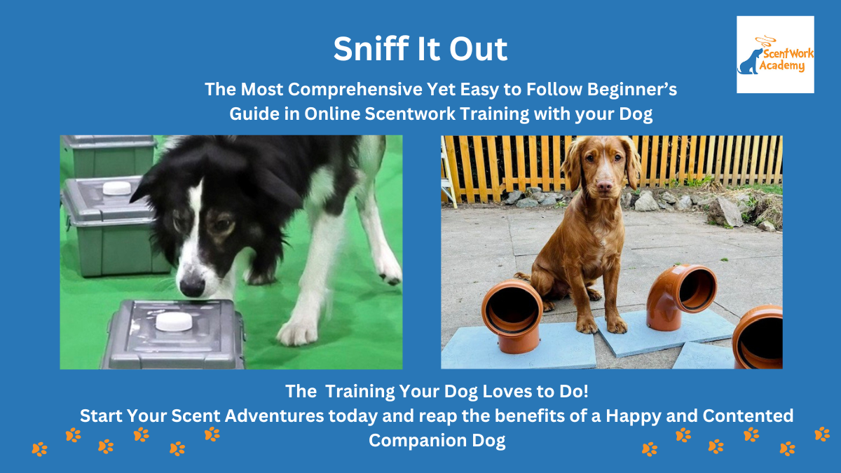 Online Scentwork Training Course - Sniff It Out